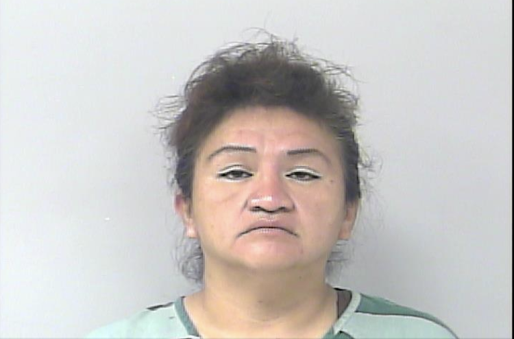 St Lucie County woman arrested for animal cruelty - Treasure Coast