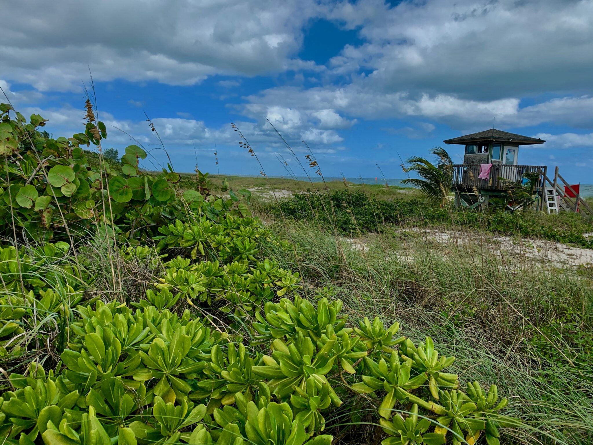 The Best Public Beaches in Vero Beach, Florida - Treasure Coast