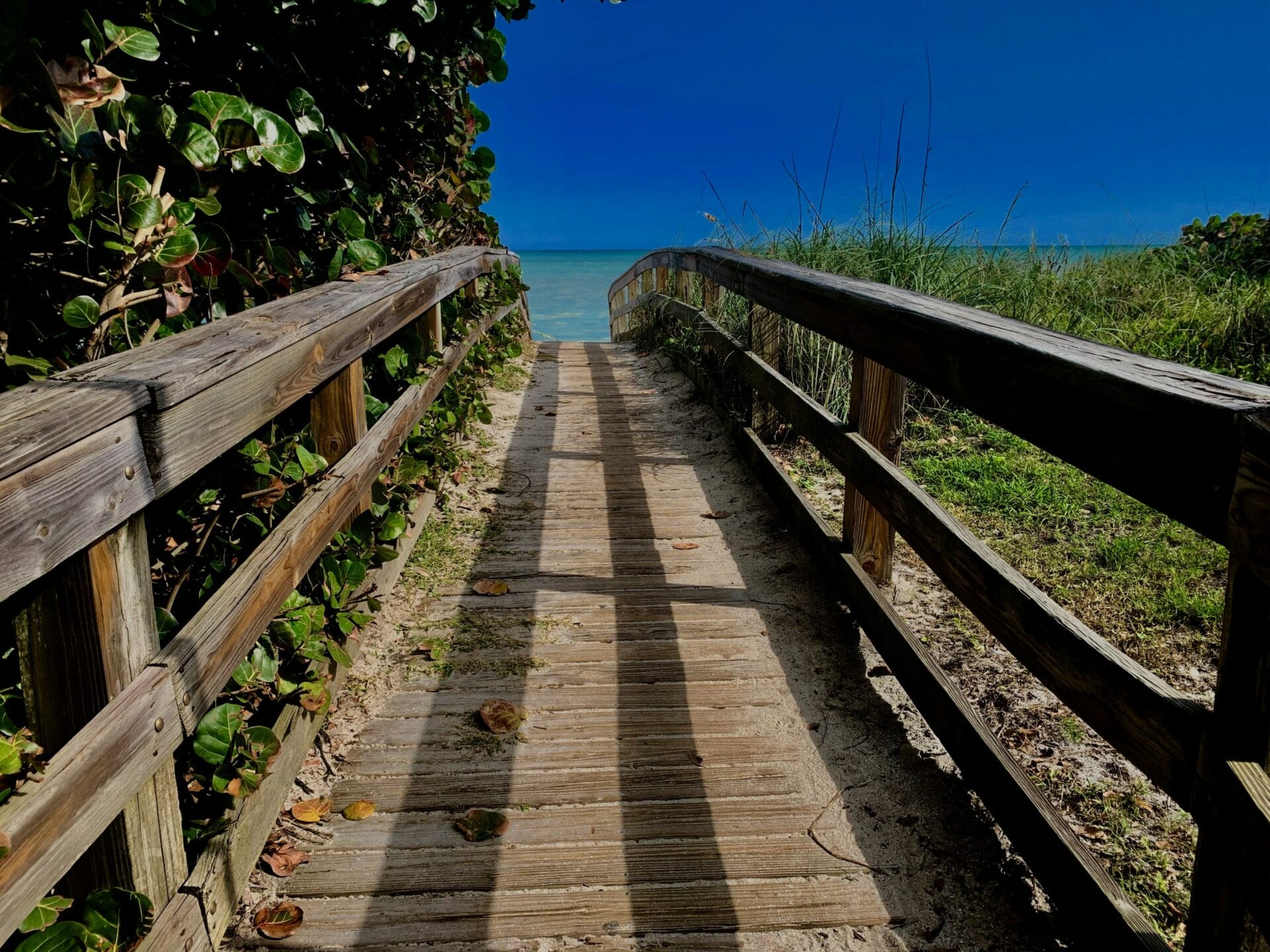 Seagrape Trail Beach - TreasureCoast.com