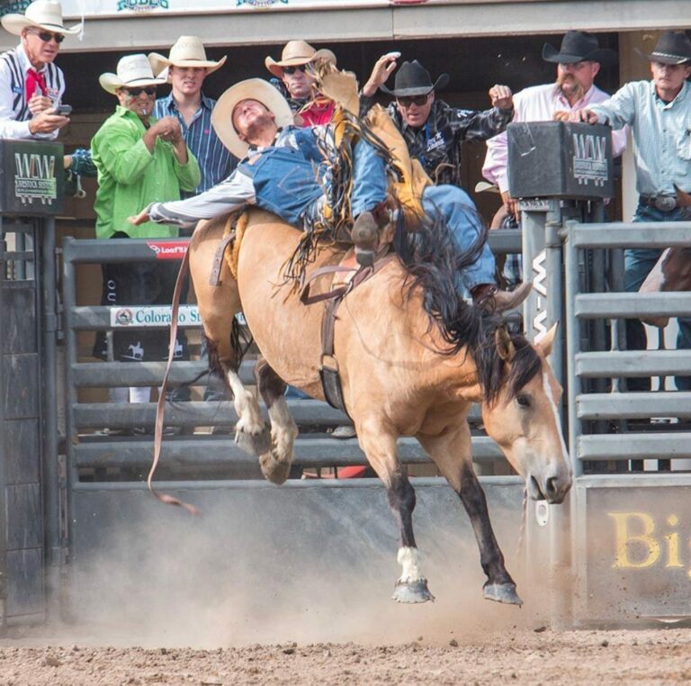 St. Lucie County Fair 2024: Attractions & Detals - Treasure Coast