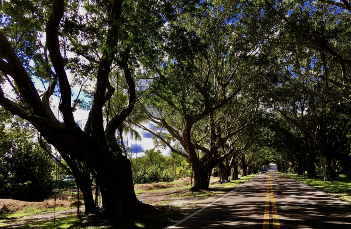 Florida Backroads: Sunday Drive from Jupiter to Jensen Beach