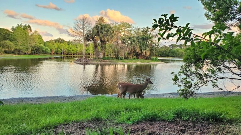 12 Free Things to Do in Jupiter, Florida