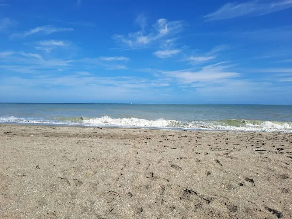 Porpoise Beach - Treasure Coast
