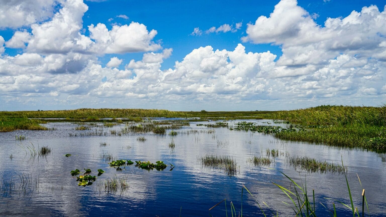 Best Things to Do on the Treasure Coast - Treasure Coast