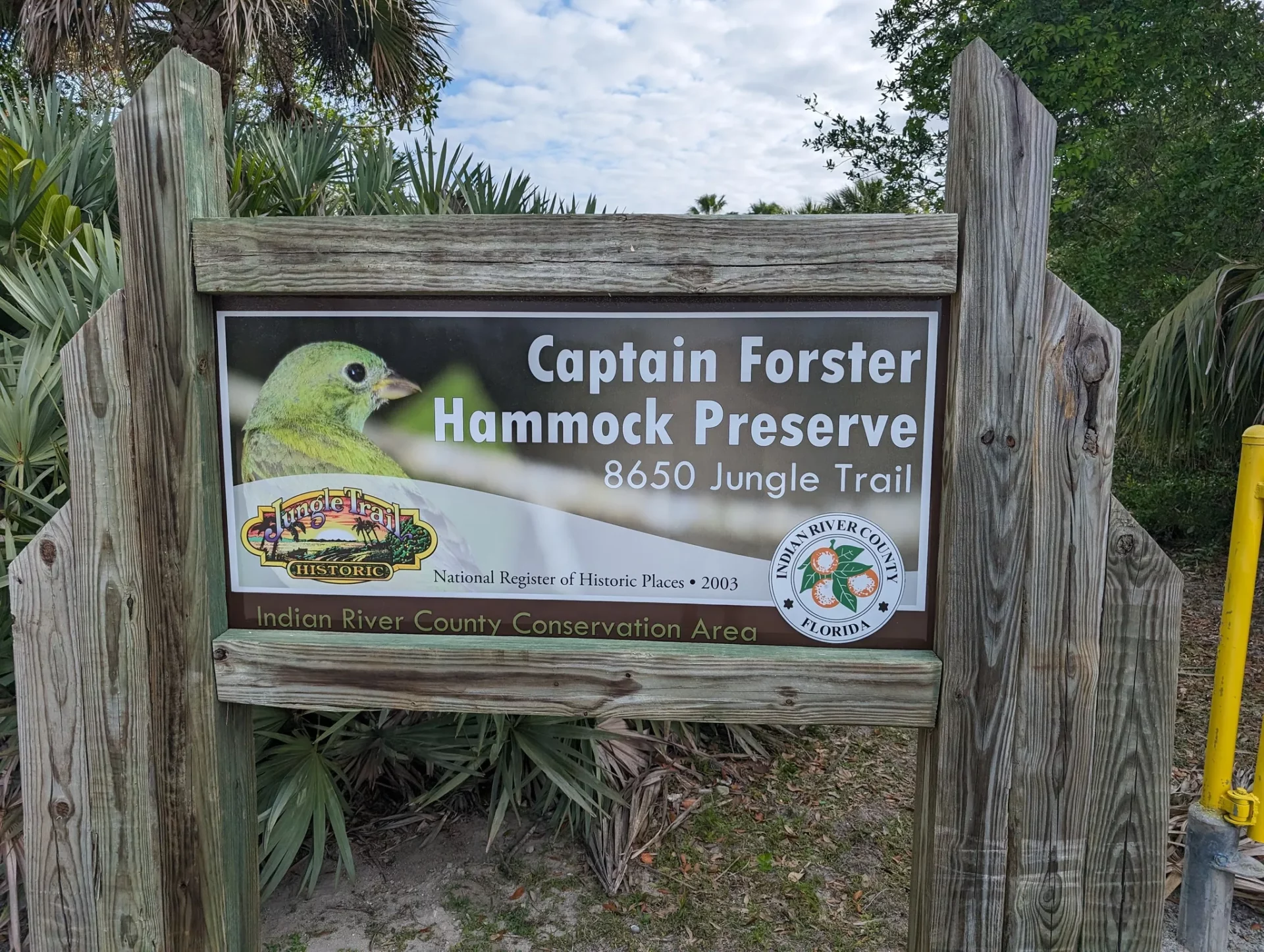 Captain Forster Hammock Preserve - Treasure Coast