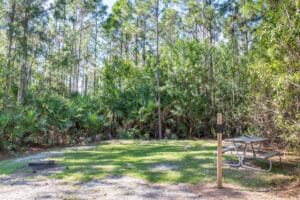 McCarty Ranch Preserve - Treasure Coast